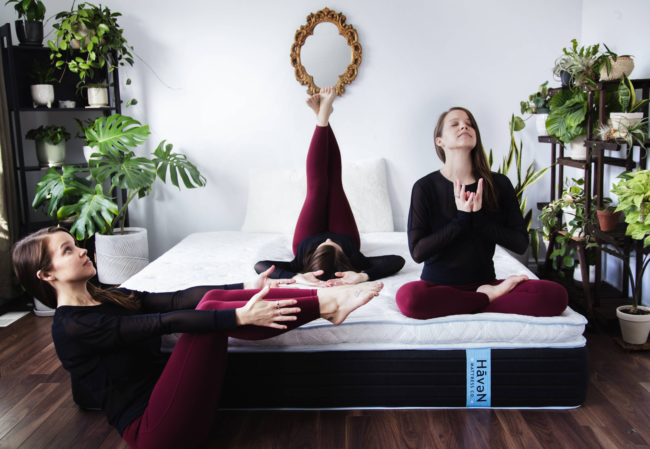 Haven Sleep Co. Celebrates International Day of Yoga with yoga for hum ...