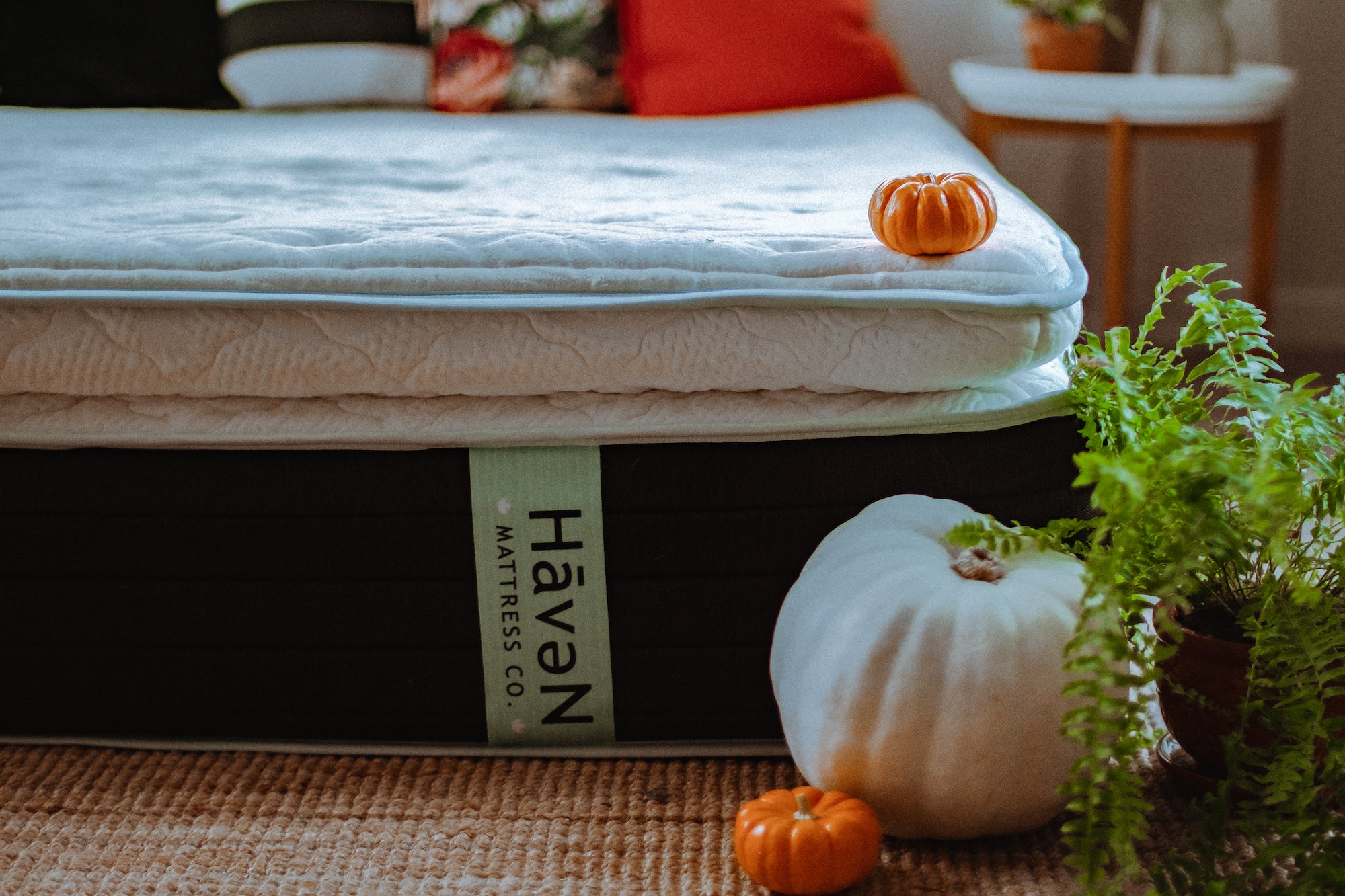 The Benefits of Pumpkin Relating to Your Sleep – Haven CANADA